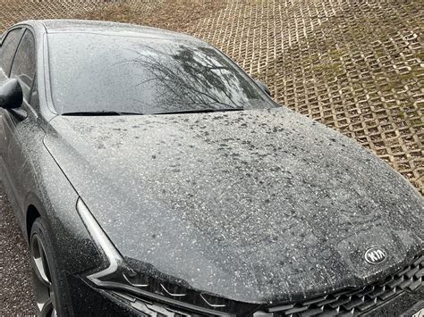 세차 해야될까요 자동차 에펨코리아