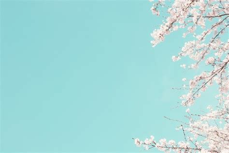 Astro Notion Blogを始める方法 Astro Notion Blog