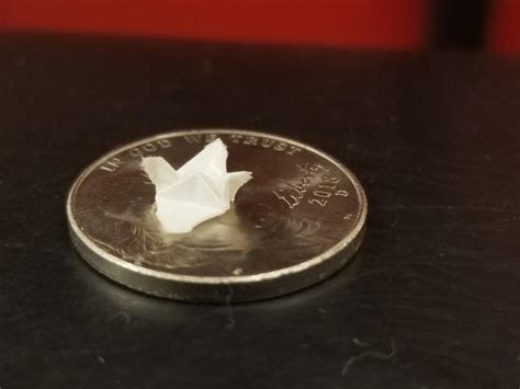 ამ ადამიანებმა იციან როგორ გაიხალისონ ცხოვრება ფოტოები განწყობისათვის