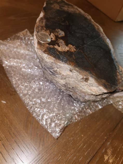 Unknown Bone Fossil Probably From Montana 16lb R Fossilid