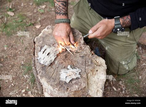Man Igniting A Fire On Tree Stump In The Forest Stock Photo Alamy