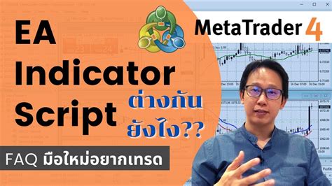 ea indicator script ใน mt4 ใช้ต่างกันยังไง พื้นฐานการเทรดบน mt4
