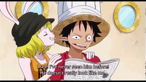 One Piece Does Carrot Like Luffy At Jimmie Mireles Blog