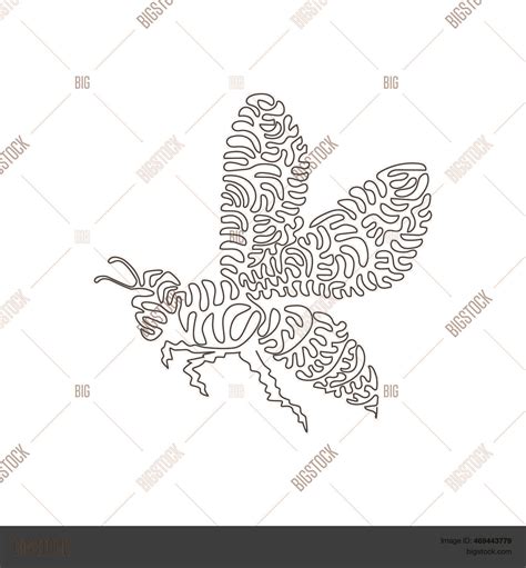 Single One Curly Line Vector And Photo Free Trial Bigstock