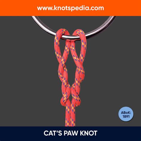 How To Tie A Span Loop Knot In 4 Easy Steps
