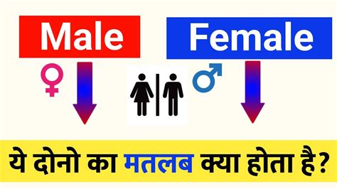 Male Female Ka Matlab Kya Hota Hai Male Female Main Kya Select Kare Gender Kaise Chune YouTube