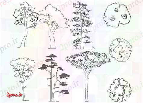 دانلود نقشه درخت ، گیاهان کد37677