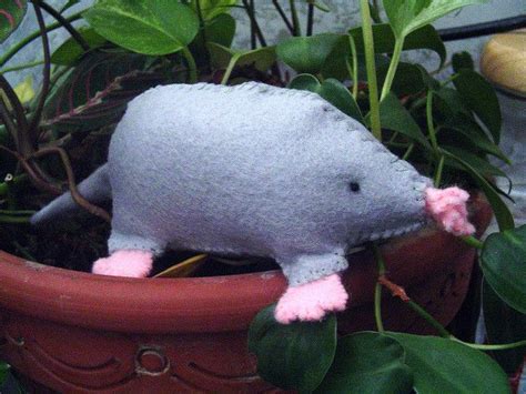 Stuffed Mole Pattern