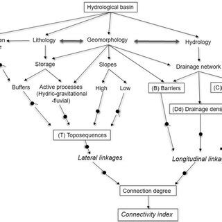Flowchart Graph With The Analyzed Variables In The CI Where The Symbol Download Scientific
