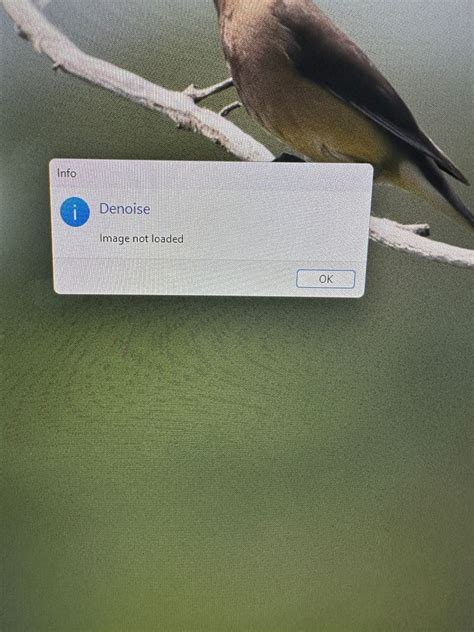 solved ai denoise missing or not working after latest lig adobe