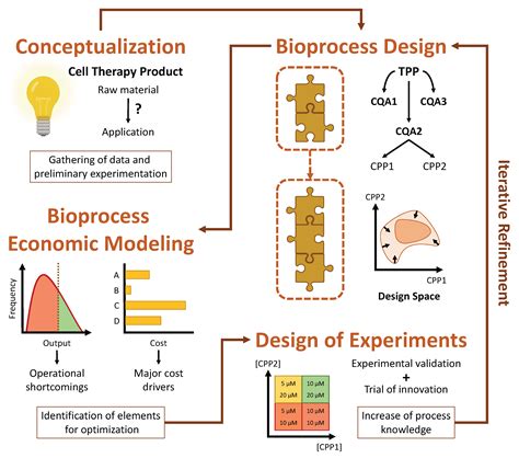 Bioprocess Economic Modeling For Stem Cell Therapy Products Encyclopedia Mdpi