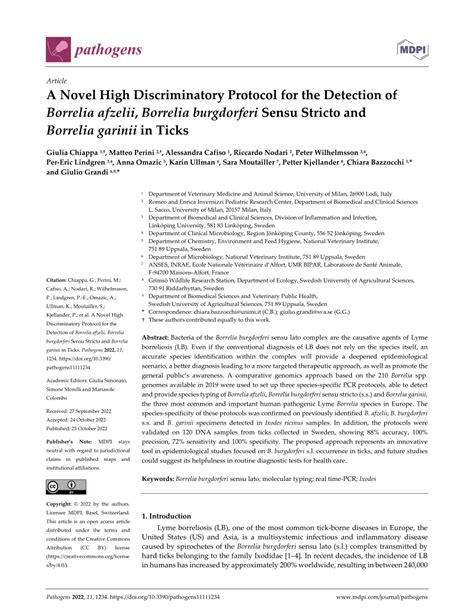 Pdf A Novel High Discriminatory Protocol For The Detection Of Borrelia Afzelii Borrelia