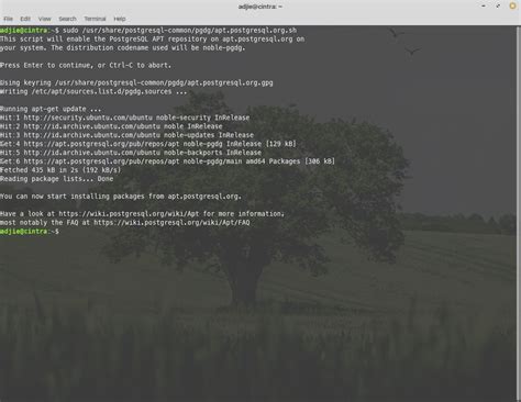 how to install postgresql 17 on ubuntu 24 04 lts noble numbat
