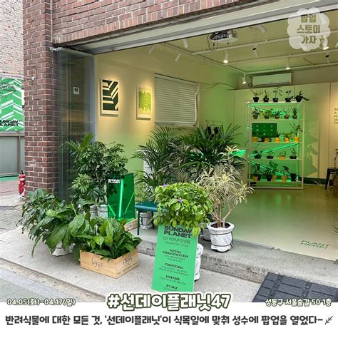 팝업스토어 가자 🪴반려식물 이야기 선데이플래닛47🪴 실내공간에서 반려식물과 함께 하기위한 Facebook