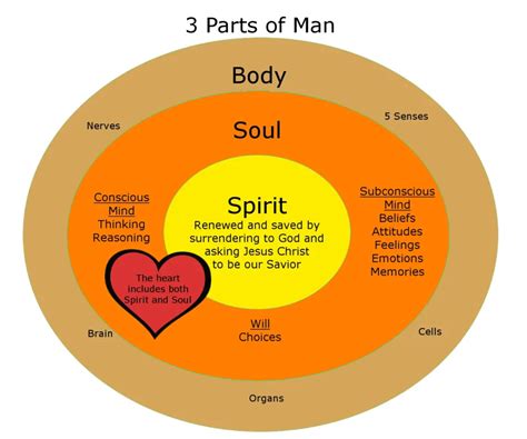 Spirit Body And Soul The Witness