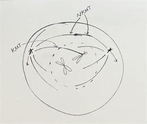 Exam Flashcards Quizlet