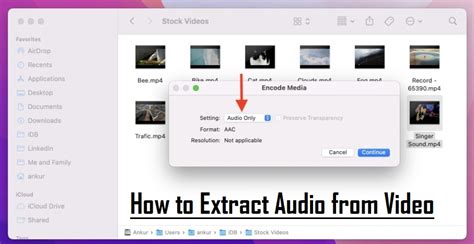 How To Extract Audio From Video Step By Step Hollyland