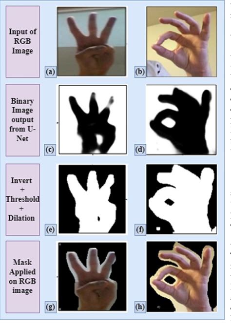 figure 3 from a framework of ensemble cnn models for real time sign