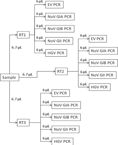 RT QPCR Overview Schematic Each Extracted Test Sample RNA Is Reverse Download Scientific