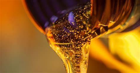 Sae Oil Definition What Does Sae Stand For In Motor Oil Santie Oil