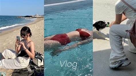 여행 브이로그 2박3일 강릉 여행 씨마크 호텔 공쨔 호캉스🏊🏻 휴가 일상 조금 이른 5월 물놀이 맛집•카페 추천 툇마루 커피 젤리캣 룰루레몬