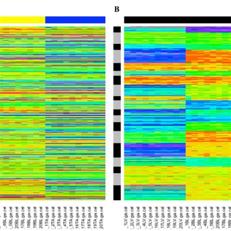 Heatmaps Of The Human Data Heatmap Of The Human Data Before Download Scientific Diagram