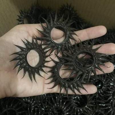 SeX RING PILIK MATA NG KAMBiING Lazada PH