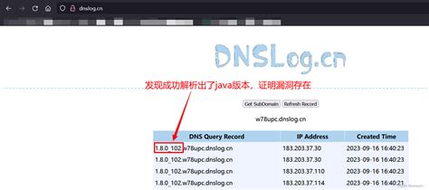 apache log4j2漏洞复现 csdn博客