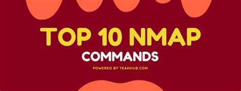 Top 30 Basic Nmap Commands For Beginners Yeah Hub