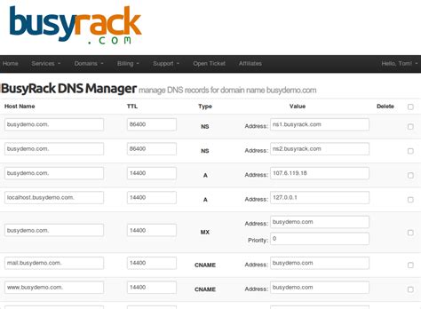 Cpanel Dns Manager For Whmcs Whmcs Addons Whmcs Modules Cpanel Addons Cpanel Modules