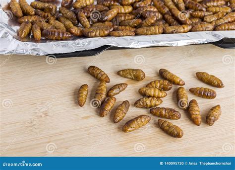 Silkworm Pupae Insects For Eating As Food Chrysalis Silkworm Deep