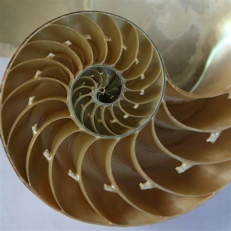 Calculus Through Data Modelling Vector Calculus Datafloq