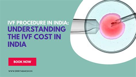 IVF Procedure In India Understanding The IVF Cost In India