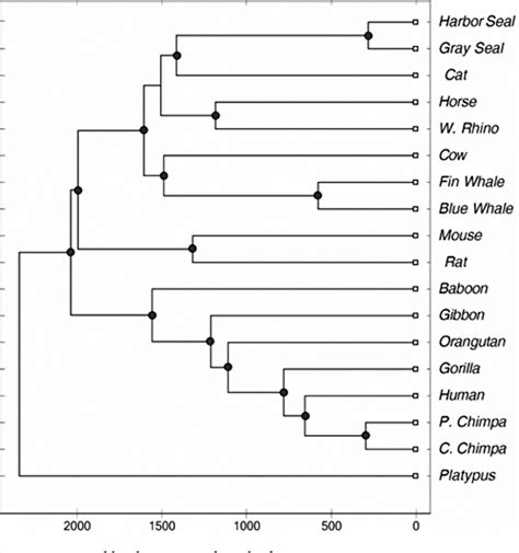 Figure 5 From A New Feature Vector Model For Alignment Free Dna Sequence Similarity Analysis