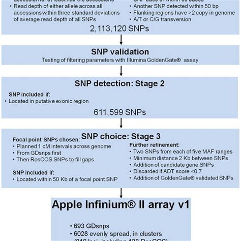 Workflow For Single Nucleotide Polymorphism Snp Detection