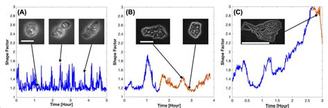 Time Histories Of The Shape Factor Sf L 2 4πr 2 0 For Three Download Scientific Diagram