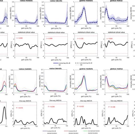 Mean 1 Standard Deviation Trajectories Of Lower Leg Muscle Activity