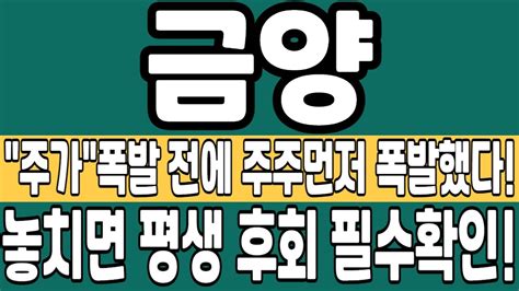 금양 주가전망 주가 폭발 전에 주주먼저 폭발 미리 확인하고 대응준비 김프로금양2차전지4695에스엠랩류광지매수매도수주공시4695배터리3억셀