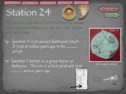 Fossil Lab Gonyoscience