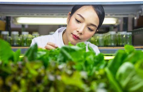 Update To Stem Designated Degree Program List