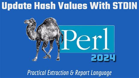 Perl Programming Update Hash Values Stdin 2024 Youtube