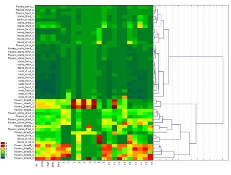 Hierarchical Clustering Analysis And Heatmap Visualization Of Primula