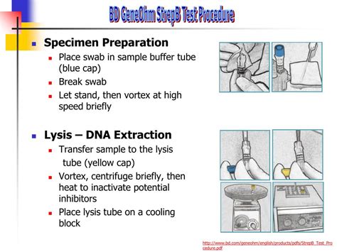 Ppt Detection Of Group B Streptococcus By Smartcycler Powerpoint