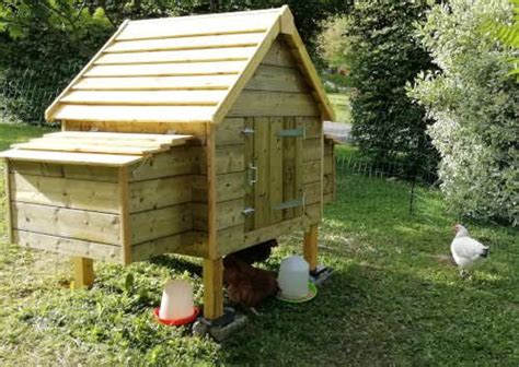Conseils Pour Fabriquer Un Poulailler Trees To Plant Greenhouse
