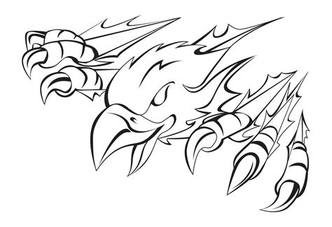 Hawk Claw Vector Art Icons And Graphics For Free Download