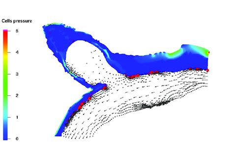 The Pressure Distributions Download Scientific Diagram