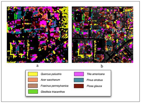 Sensors Free Full Text Seasonal Effect On Tree Species Classification In An Urban