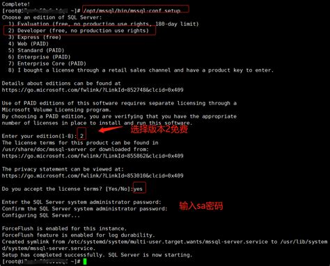 centos7 9安装sql server 岁末年初 博客园