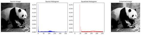 Histogram Equalization And Matching Devanshs Blog