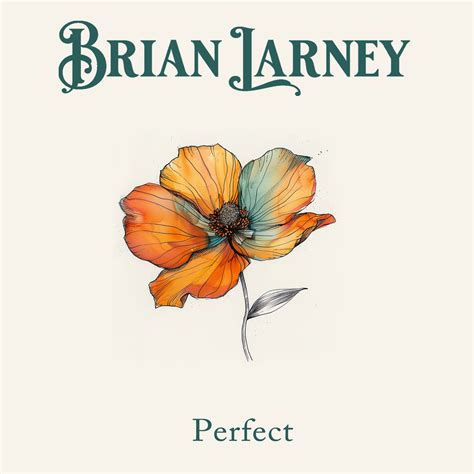 “perfect By Brian Larney Rising Artists Music Blog